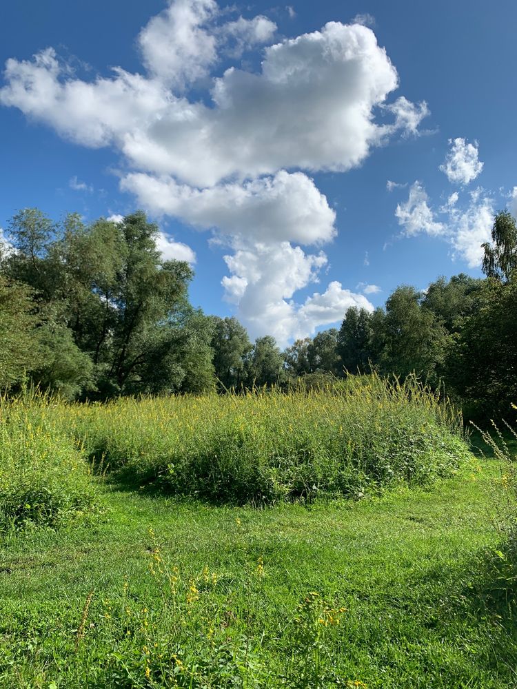 DE NIEUWE MEER - Updated May 2025 - Jachthavenweg 130, Amsterdam, Noord ...