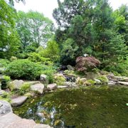 UNC CHARLOTTE BOTANICAL GARDENS - 145 Photos & 36 Reviews - Charlotte ...