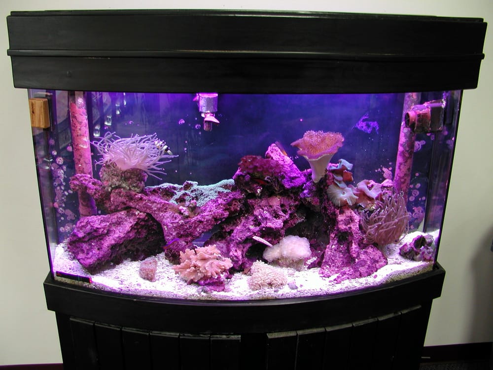TANK WISE - Updated April 2025 - McFarland, Wisconsin - Aquarium ...