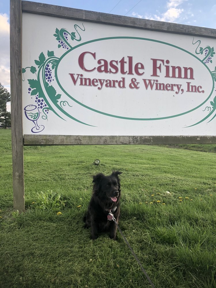 CASTLE FINN WINERY - Updated April 2025 - 33 Photos & 10 Reviews - 1288 ...