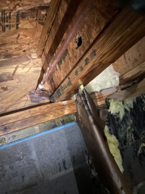 Peterman Brothers - Updated December 2025 - 62 Photos - 180 Reviews ...