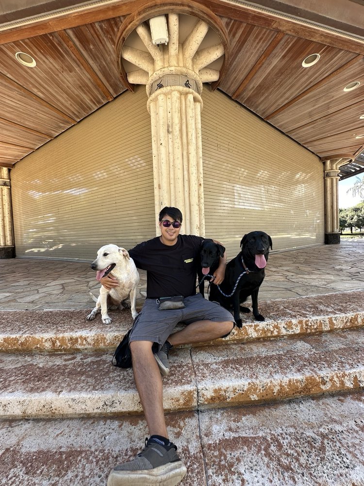 ALPHA K9 TRAINING - Updated May 2026 - 17 Photos - Pearl City, Hawaii ...