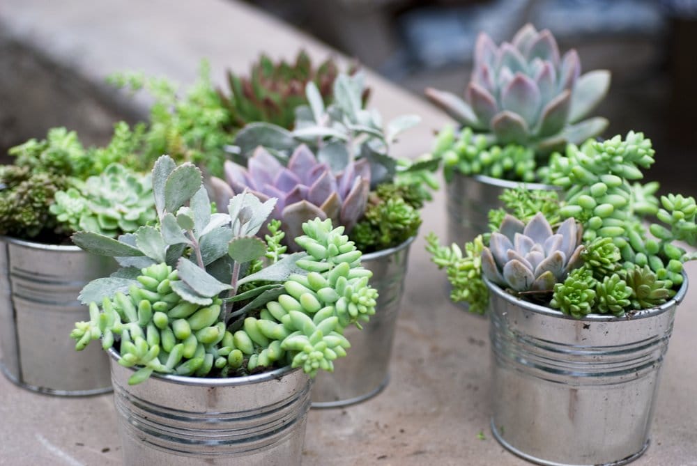 BENZIEN DESIGN - Updated March 2025 - 29 Photos - San Diego, California ...