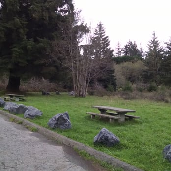 AZALEA STATE NATURAL RESERVE - Updated September 2025 - 14 Photos - 809 ...