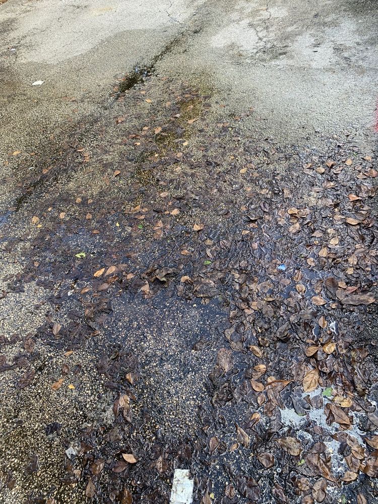 SUMMIT COMMONS - Updated September 2025 - 1241 S Military Trl, West ...