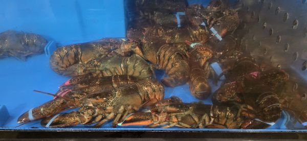WEGMANS - Updated April 2026 - 90 Photos & 120 Reviews - 345 Colonnade ...