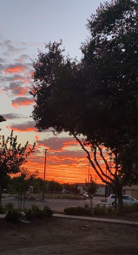 CITY OF REEDLEY - Updated December 2025 - 14 Photos - 1733 9th St ...