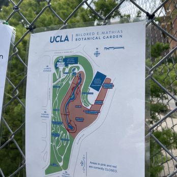 UCLA MATHIAS BOTANICAL GARDEN - Updated July 2025 - 457 Photos & 114 ...