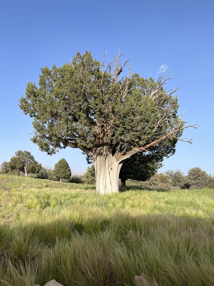 Juniper Well Ranch, Skull Valley | Roadtrippers