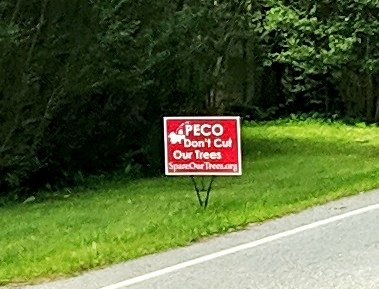 PECO - Updated January 2026 - 27 Photos & 111 Reviews - 2301 Market St ...