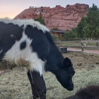 FLYING W RANCH - Updated July 2025 - 264 Photos & 137 Reviews - 3330 ...