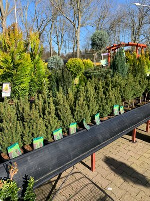 INTRATUIN - Updated October 2025 - 61 Photos & 14 Reviews - Nobelweg 10 ...