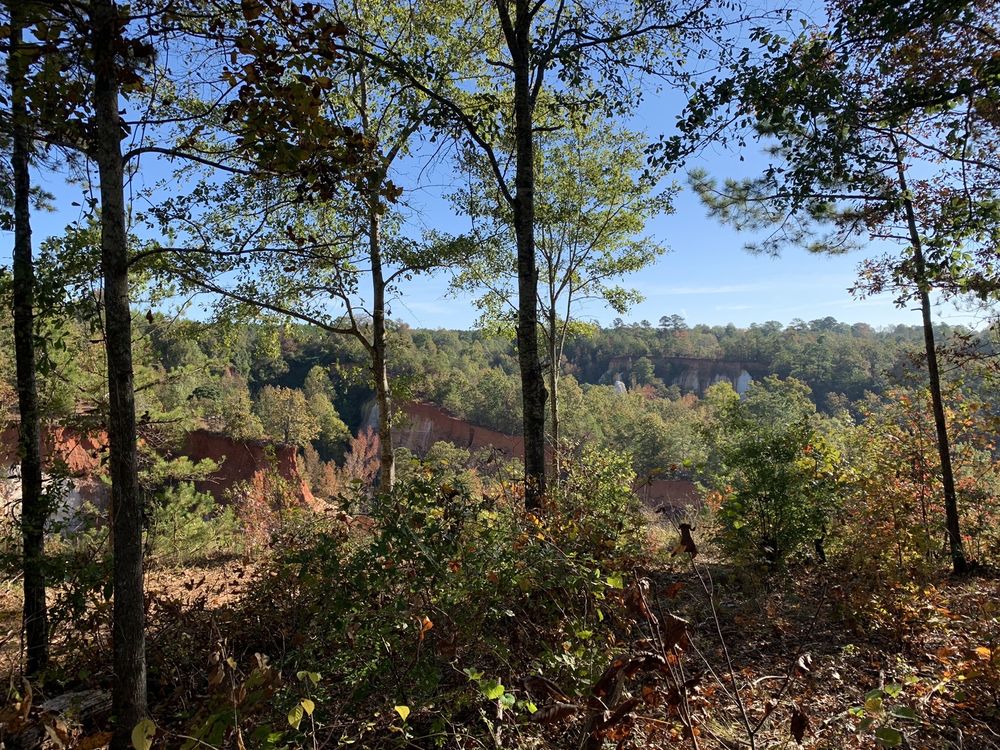 PROVIDENCE CANYON STATE PARK - 21 Photos - 8930 Canyon Rd, Lumpkin, GA ...