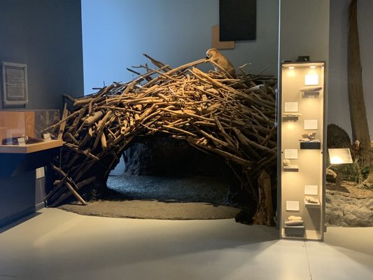 DELMARVA DISCOVERY MUSEUM - Updated April 2026 - 33 Photos - 2 Market ...