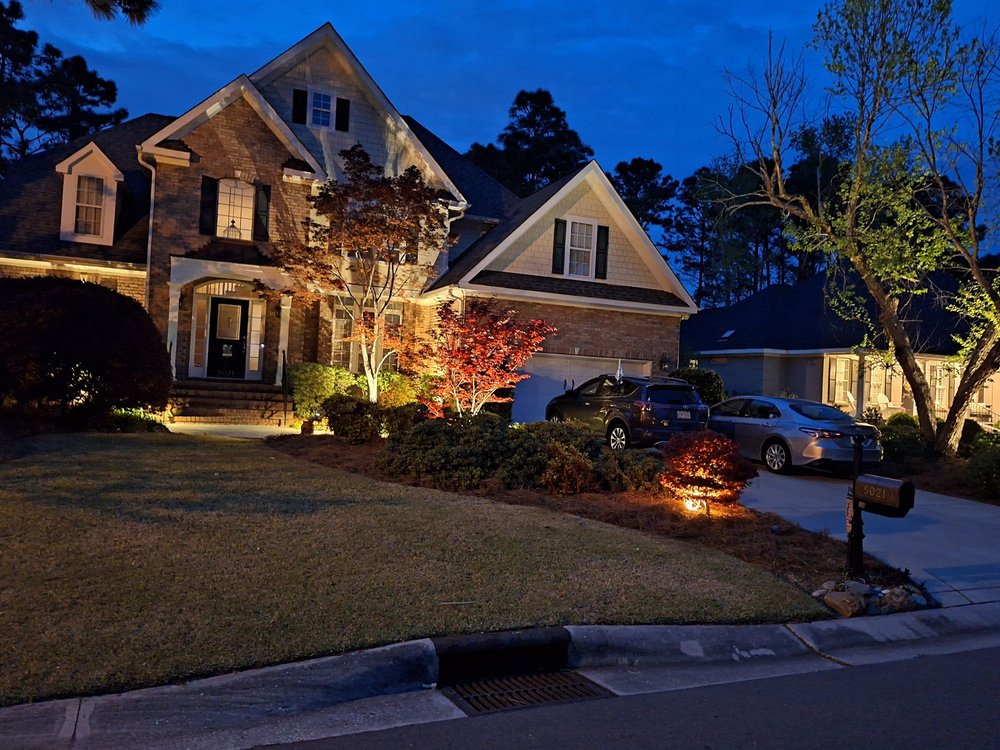 PARAMOUNT TREE COMPANY - Updated July 2025 - 22 Photos - Murrayville ...