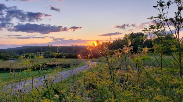WHALEBACK SHELL MIDDENS STATE HISTORIC SITE - Updated December 2025 ...