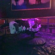 STAMPEDE HOUSTON - Updated December 2025 - 59 Photos & 86 Reviews ...