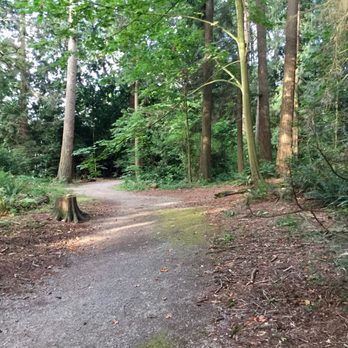 SIMON FRASER HILLS PARK - Updated December 2025 - 74 Photos - 9025 ...