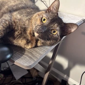 LOW COUNTRY ANIMAL RESCUE - Updated January 2026 - 14 Photos & 35 ...