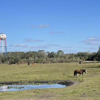 WESTGATE RIVER RANCH RESORT & RODEO - Updated December 2025 - 758 ...