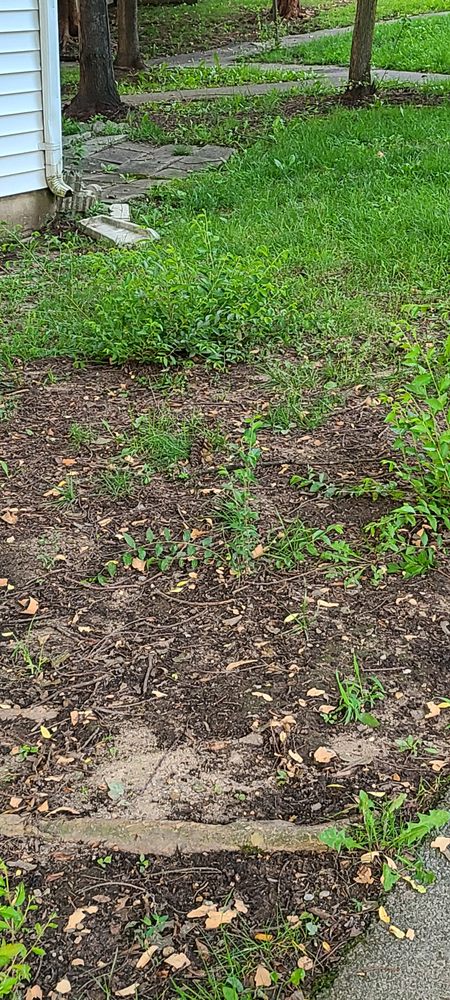 JEFF GRECO LANDSCAPING - Updated December 2025 - 40 Gregory Rd, Cos Cob ...