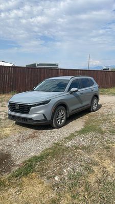 BELL HONDA - Updated September 2025 - 177 Photos & 989 Reviews - 701 W ...