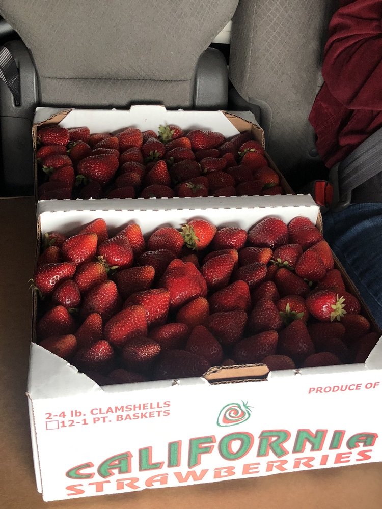 THE BERRY BEST - Updated August 2024 - 3030 Dodge Rd, Oxnard ...