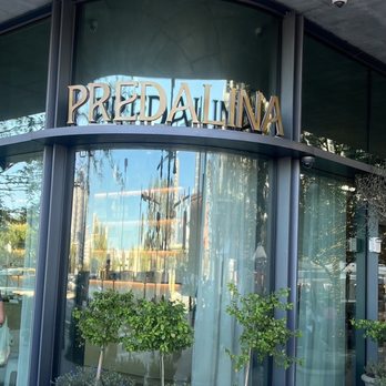 PREDALINA - 464 Photos & 164 Reviews - 1001 E Cumberland Ave, Tampa ...