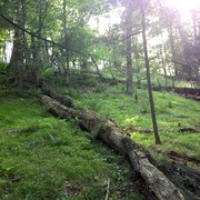 GREEN RIDGE STATE FOREST - 115 Photos & 16 Reviews - 28700 Headquarters ...