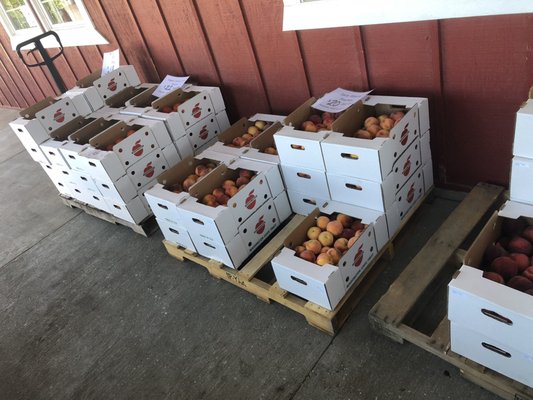 WASHINGTON FRUIT PLACE AT BARRETT ORCHARDS - 80 Photos & 19 Reviews ...