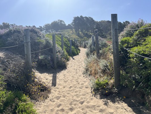 BAKER BEACH SAND LADDER - Updated September 2025 - 81 Photos & 39 ...