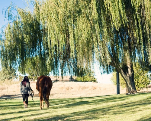 DIAMOND K RANCH - Updated July 2025 - 17 Photos - 1831 Murphy Ln ...