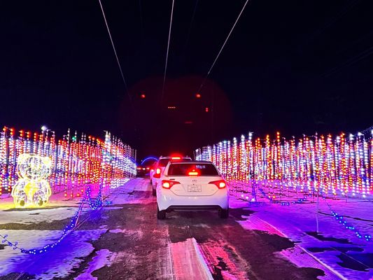 CHRISTMAS IN COLOR - AURORA - Updated January 2026 - 101 Photos & 11 ...