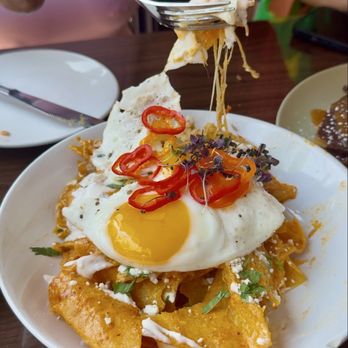 MUNI - Updated October 2025 - 282 Photos & 117 Reviews - 316 Delaware ...