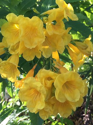 MAMMEN FAMILY PUBLIC LIBRARY - Updated October 2025 - 26 Photos - 131 ...