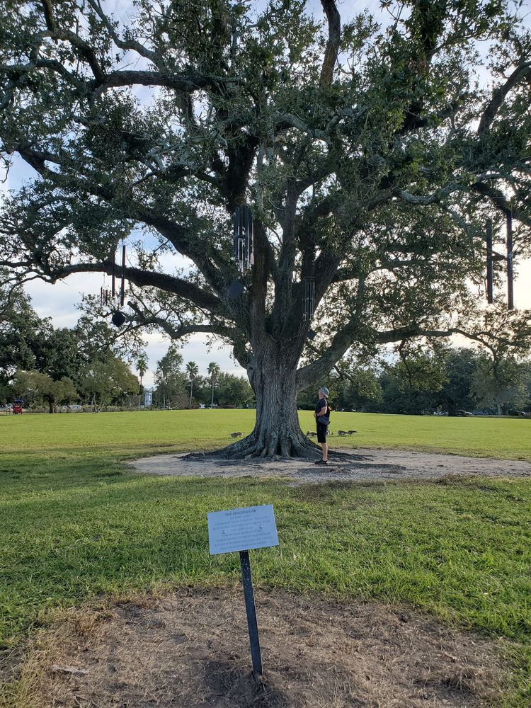 THE SINGING OAK - Updated September 2025 - New Orleans, Louisiana ...