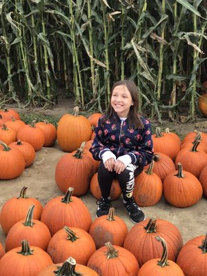 VALLEYSCARE HAUNT AT VALLEY FAIR - Updated September 2025 - 12 Photos ...