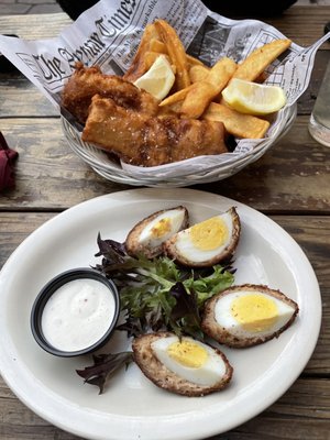 THE FAT RABBIT PUBLIC HOUSE - 409 Photos & 414 Reviews - 825 Sutter St ...