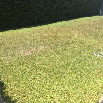 DELTA BLUEGRASS COMPANY - Updated December 2025 - 12 Photos & 27 ...