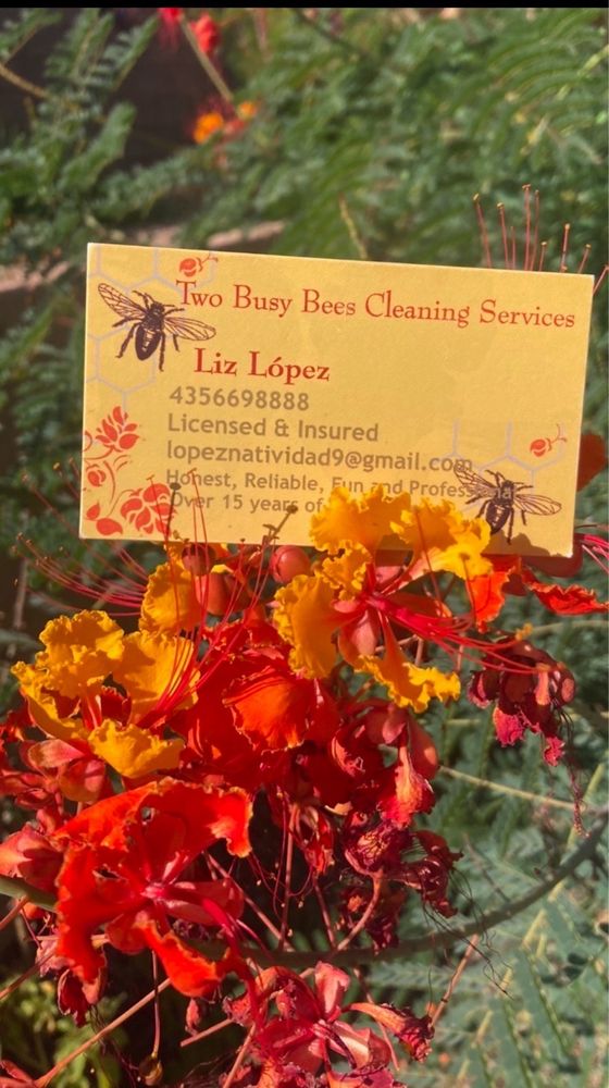 TWO BUSY BEES CLEANING SERVICES - Updated June 2025 - 17838 Whispering Meadows Dr, Sahuarita ...