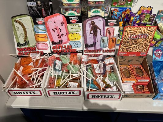 PHILLIPS CANDIES - Updated December 2025 - 63 Photos & 69 Reviews - 217 ...