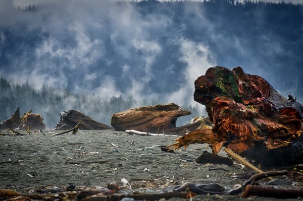 PACHEEDAHT CAMPGROUNDS - Updated December 2025 - 24 Photos & 10 Reviews ...