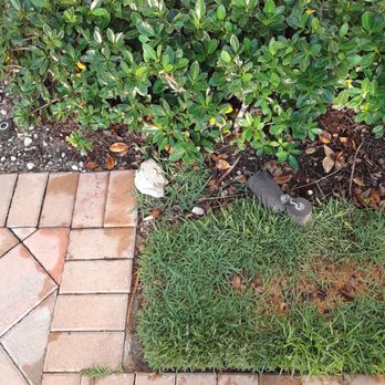 ZRS MANAGEMENT - Updated December 2025 - 100 Photos & 57 Reviews - 2001 ...