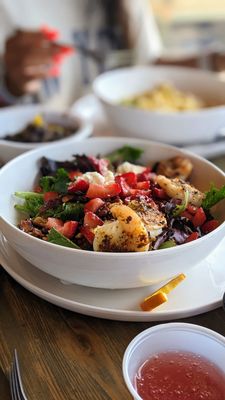 FUNKY PELICAN - Updated June 2025 - 747 Photos & 689 Reviews - 215 Hwy ...