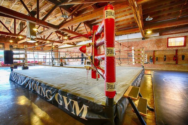 SONNY’S BOXING GYM - Updated August 2024 - 27 Photos & 11 Reviews - 108 ...