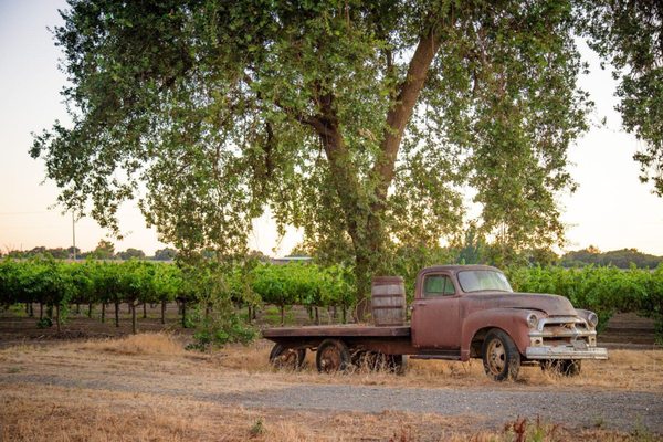 LAKEVIEW ESTATES & WINERY - 46 Photos - 9005 River Rd, Sacramento ...