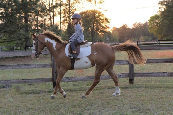 DOUBLE D TRAIL RIDES - Updated October 2025 - West Palm Beach, Florida ...