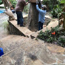 BIG BIRD TREE SERVICE - 23 Photos & 15 Reviews - 401 E Wheatland Rd ...