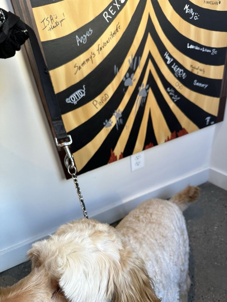 OVERFLOW WHYTE - Updated December 2025 - 8135 102 Street NW, Edmonton ...