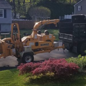 STANLEY TREE SERVICE - Updated October 2025 - 16 Photos & 59 Reviews ...